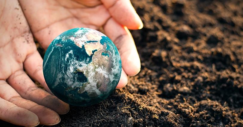 Earth Day Work Day, Taking Care of the Planet - cityhandshake.com